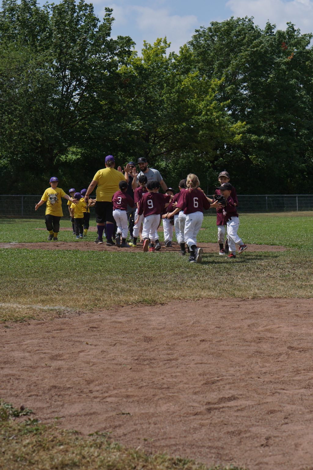 Baseball/Softball in Baden-Württemberg – Baden-Württembergischer ...